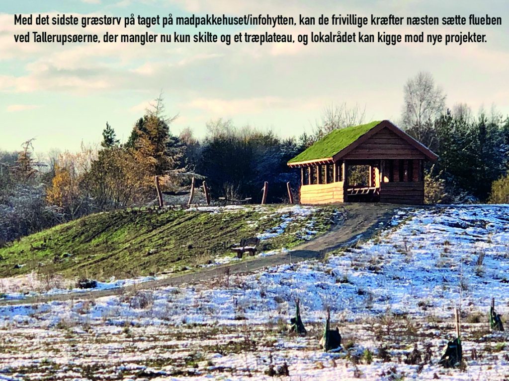 Stier bliver næste fokus for Tommeruppernes Lokalråd - Folkebladet